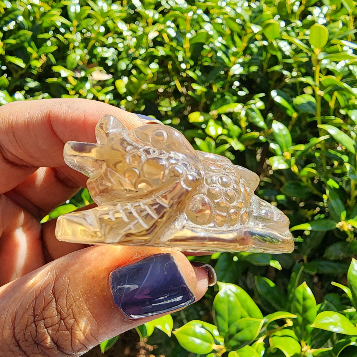 Smoky Quartz - Money Toad – Elevated Calm